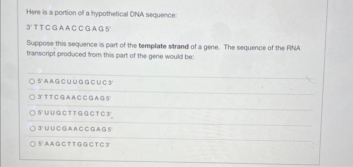 Solved Here is a portion of a hypothetical DNA sequence: 3' | Chegg.com