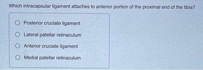 Solved Which intracapsular ligament attaches to anterior | Chegg.com