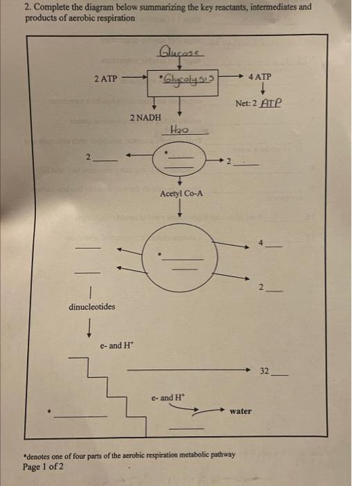 2 Complete The Diagram Below Summarizing The Key
