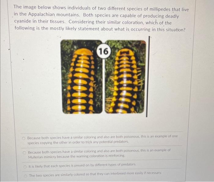 Solved In insect species such as praying mantis, why is it | Chegg.com