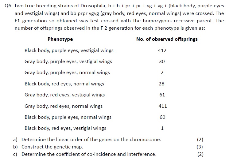 Solved Q6. ﻿Two true breeding strais of Drosophila, | Chegg.com