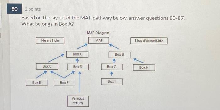 Solved 80 2 points Based on the layout of the MAP pathway | Chegg.com