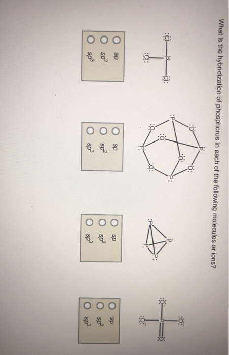 Solved What is the hybridization of phosphorus in each of | Chegg.com