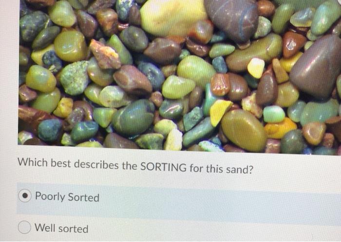 Solved Which best describes the SORTING for this sand? | Chegg.com
