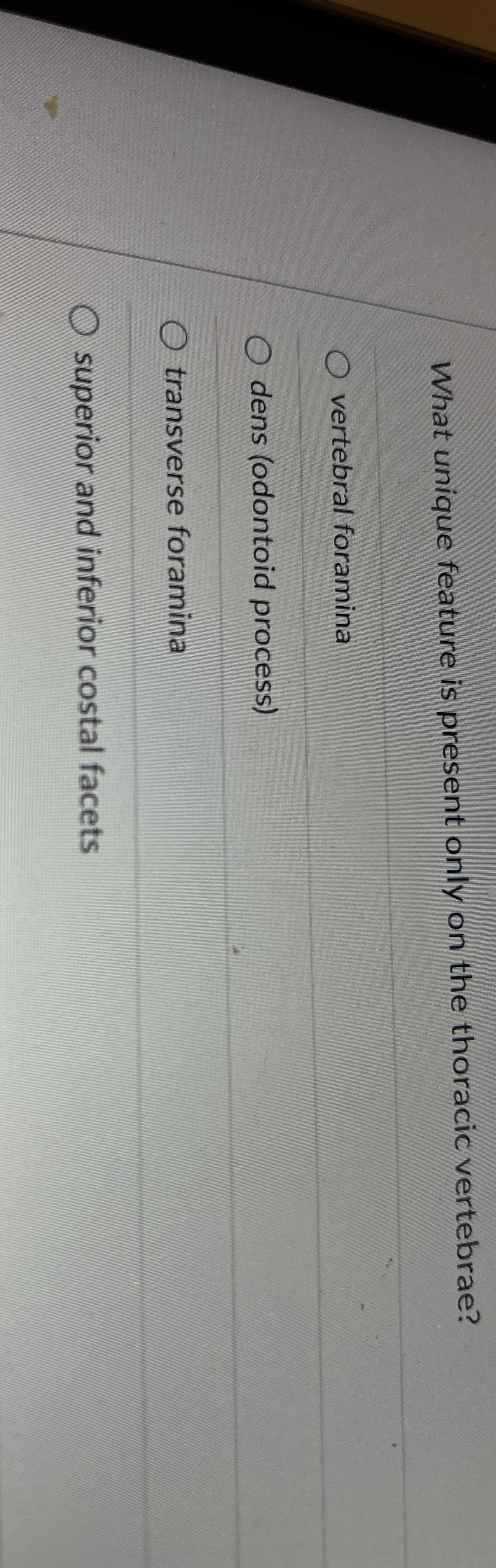 Solved What unique feature is present only on the thoracic | Chegg.com