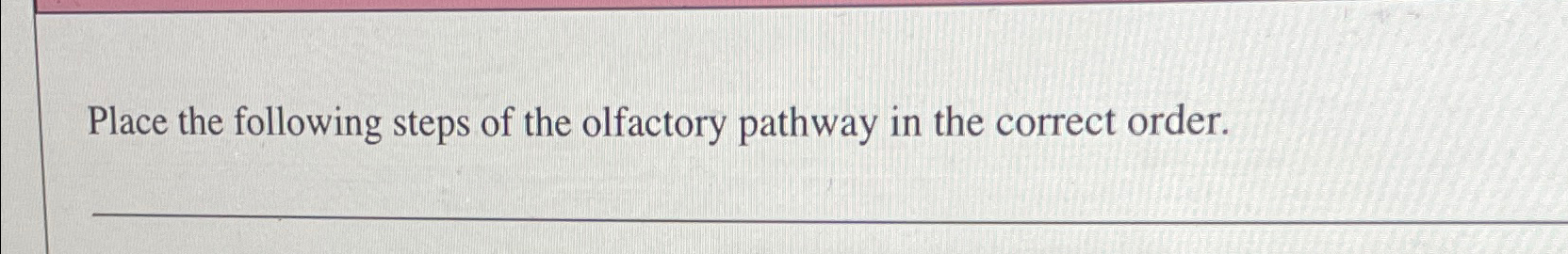 Solved Place the following steps of the olfactory pathway in | Chegg.com