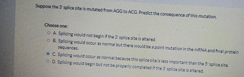Solved Suppose the 3' ﻿splice site is mutated from AGG to | Chegg.com
