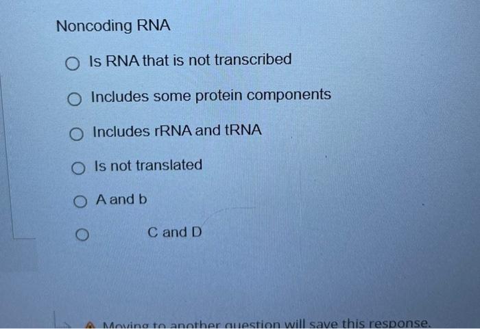 Solved Noncoding RNA Is RNA that is not transcribed Includes | Chegg.com