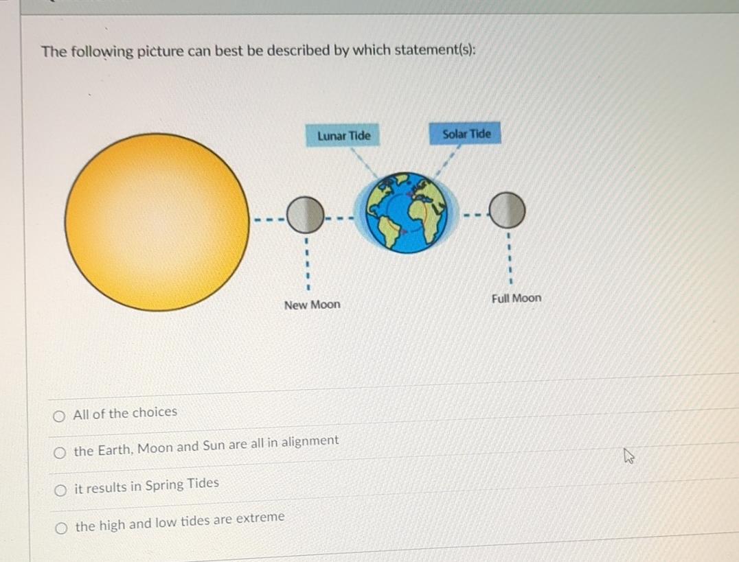 Solved The following picture can best be described by which | Chegg.com