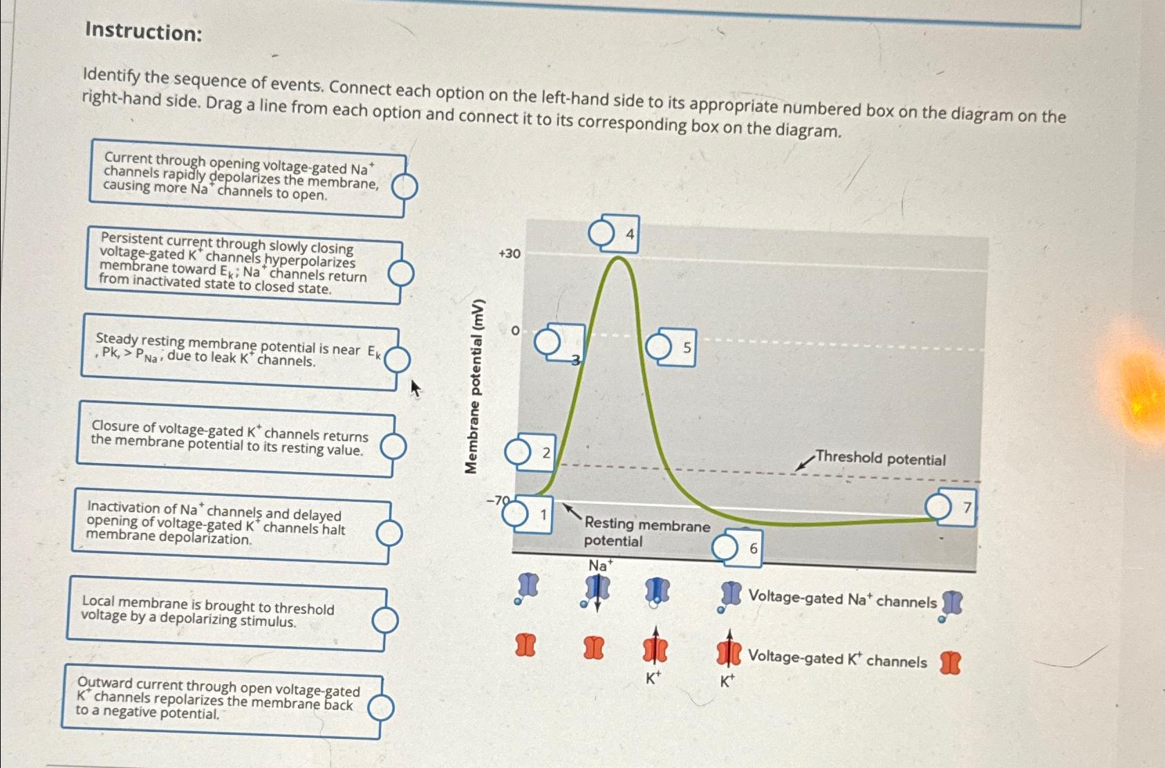 Solved Instruction:Identify the sequence of events. Connect | Chegg.com