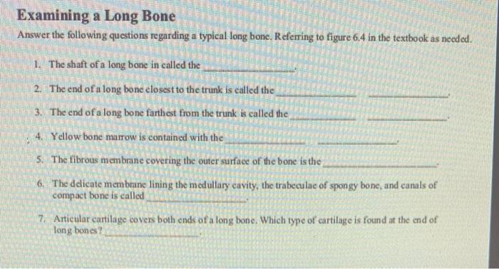 Solved Classification of Bones 1. Classify each of the bones | Chegg.com