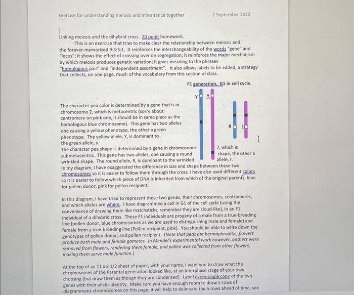 Solved Exercise for understanding meiosis and inheritance | Chegg.com