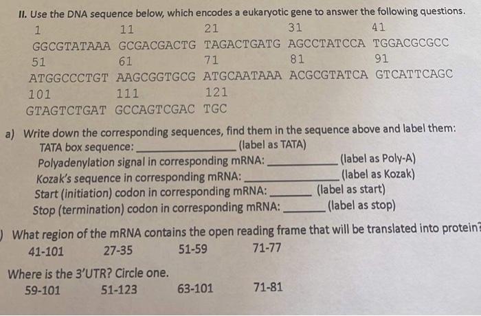 Solved II. Use the DNA sequence below, which encodes a | Chegg.com