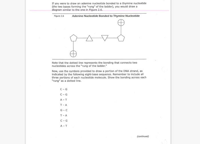 you will construct a small sequence of nucleotides to | Chegg.com