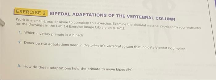 EXERCISE 2 BIPEDAL ADAPTATIONS OF THE VERTEBRAL | Chegg.com