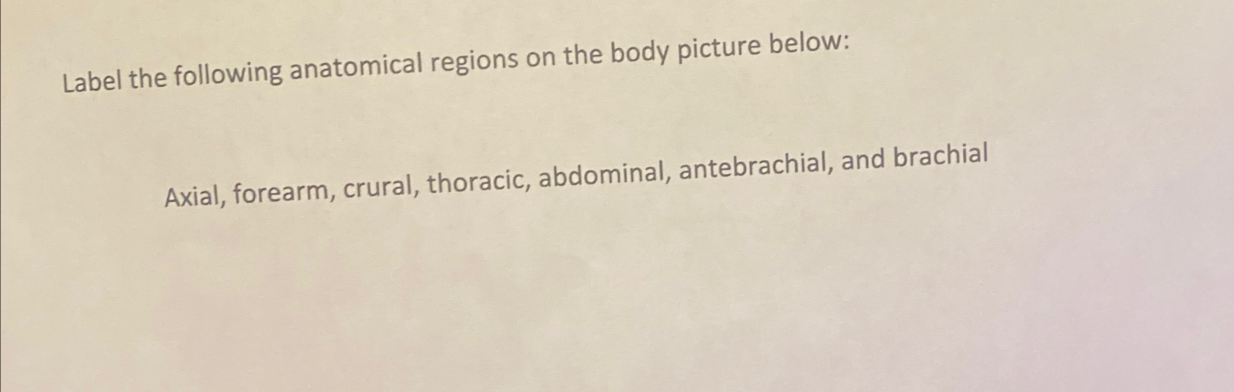 Solved Label the following anatomical regions on the body | Chegg.com