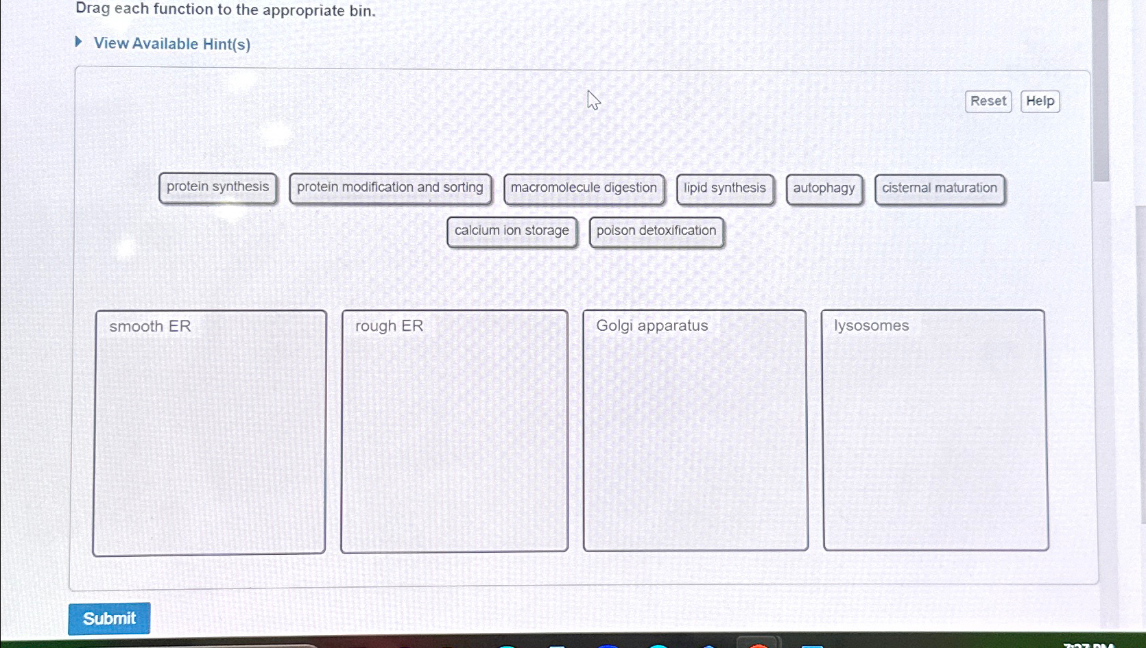 Solved Drag each function to the appropriate bin.View | Chegg.com