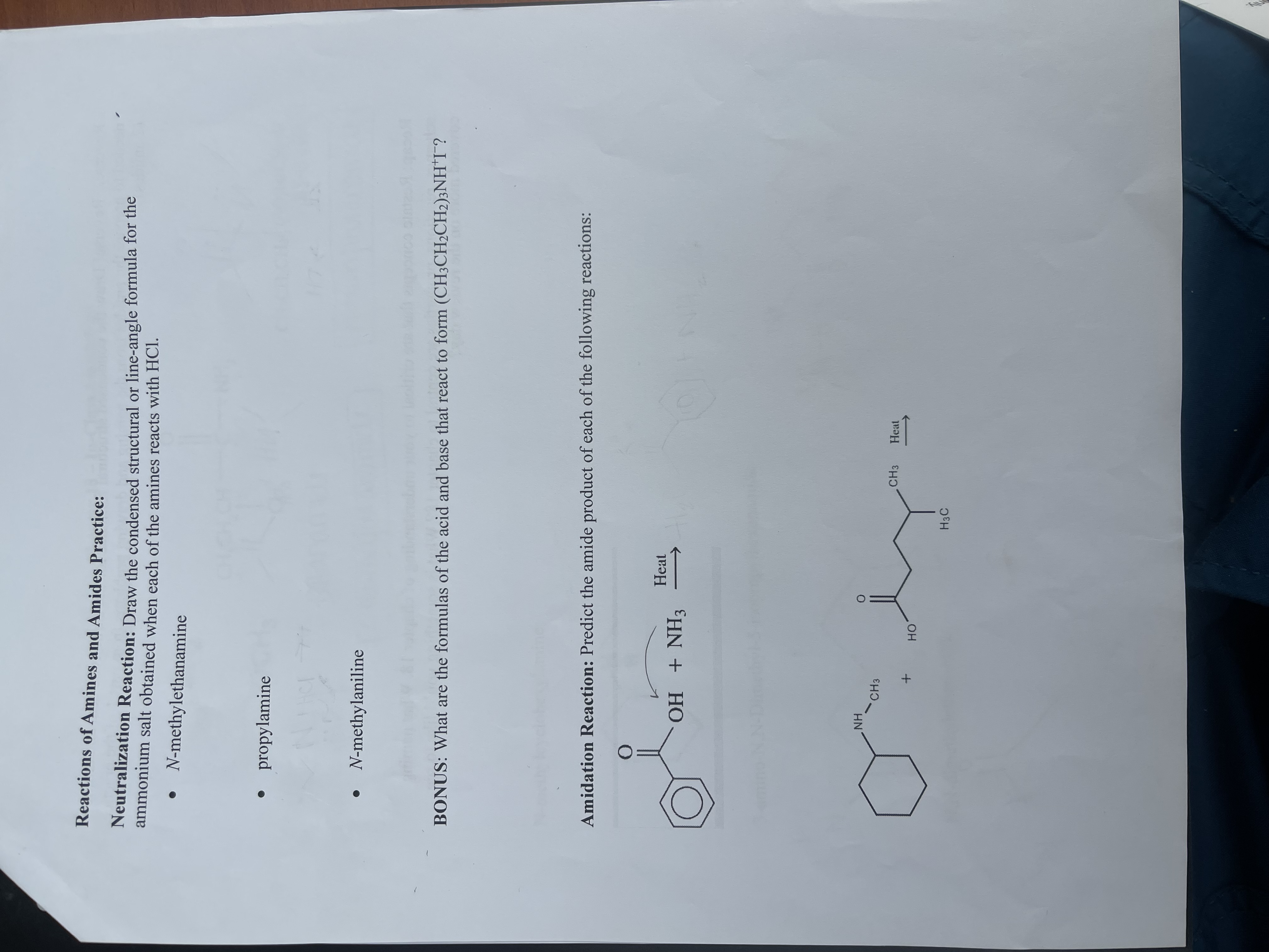 Solved Reactions of Amines and Amides | Chegg.com