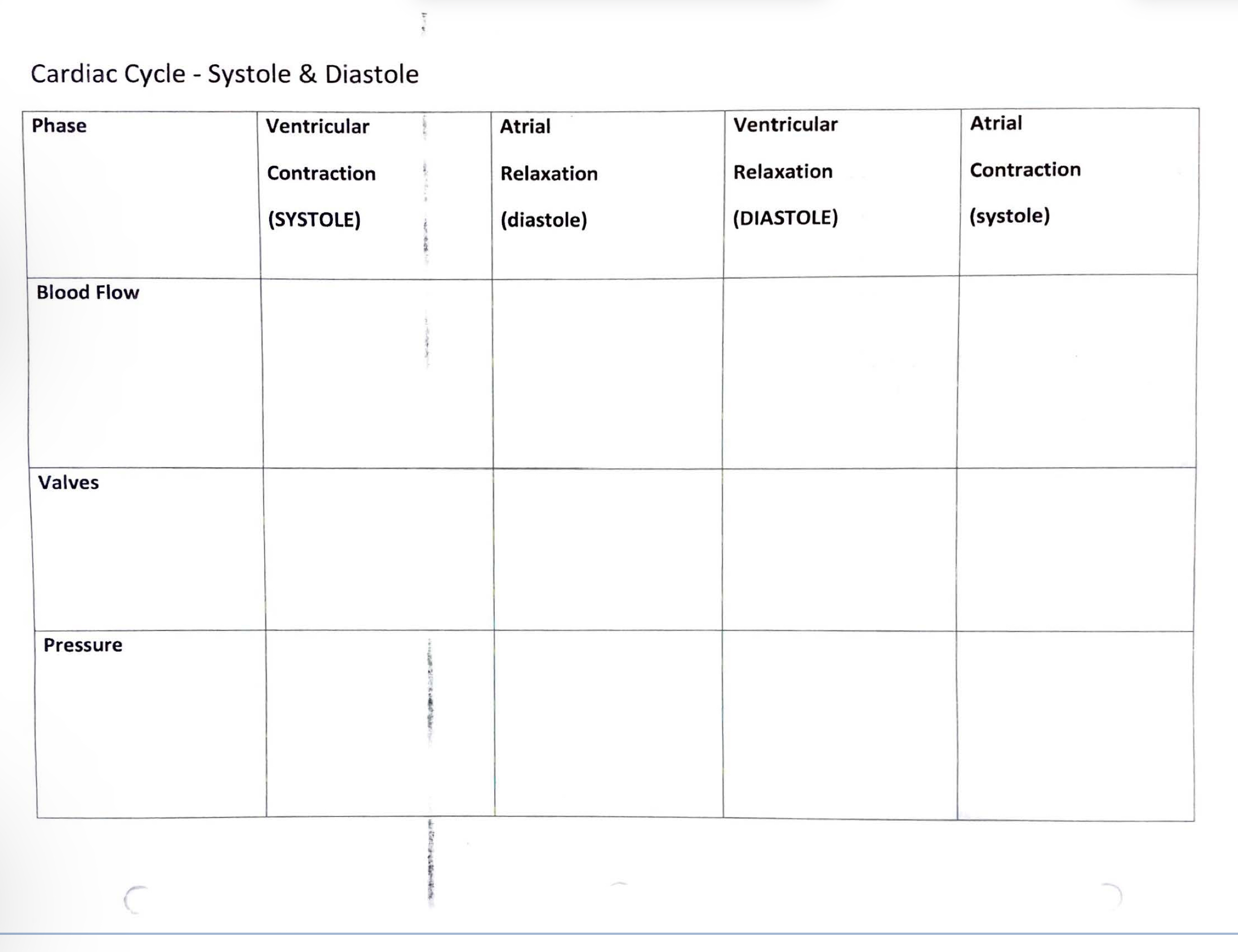Solved Cardiac Cycle - ﻿Systole & | Chegg.com
