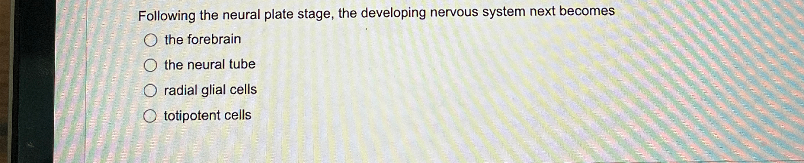 Solved Following the neural plate stage, the developing | Chegg.com