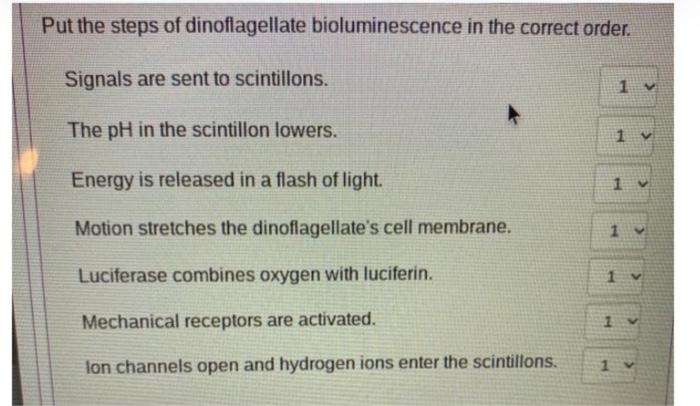Solved Put the steps of dinoflagellate bioluminescence in | Chegg.com