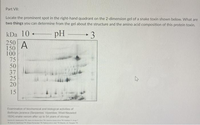 Solved Locate the prominent spot in the right-hand quadrant | Chegg.com