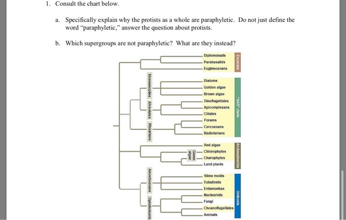 Solved 1. Consult the chart below. a. Specifically explain | Chegg.com