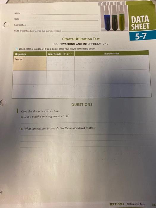 Name Date Lab Section DATA SHEET 5-7 I was present | Chegg.com