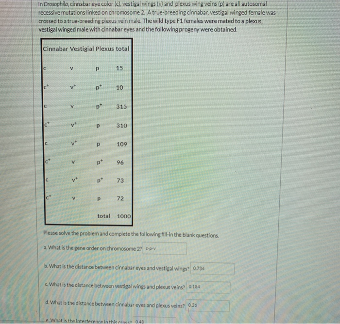 Solved In Drosophila, cinnabar eye color (c), vestigal wings | Chegg.com