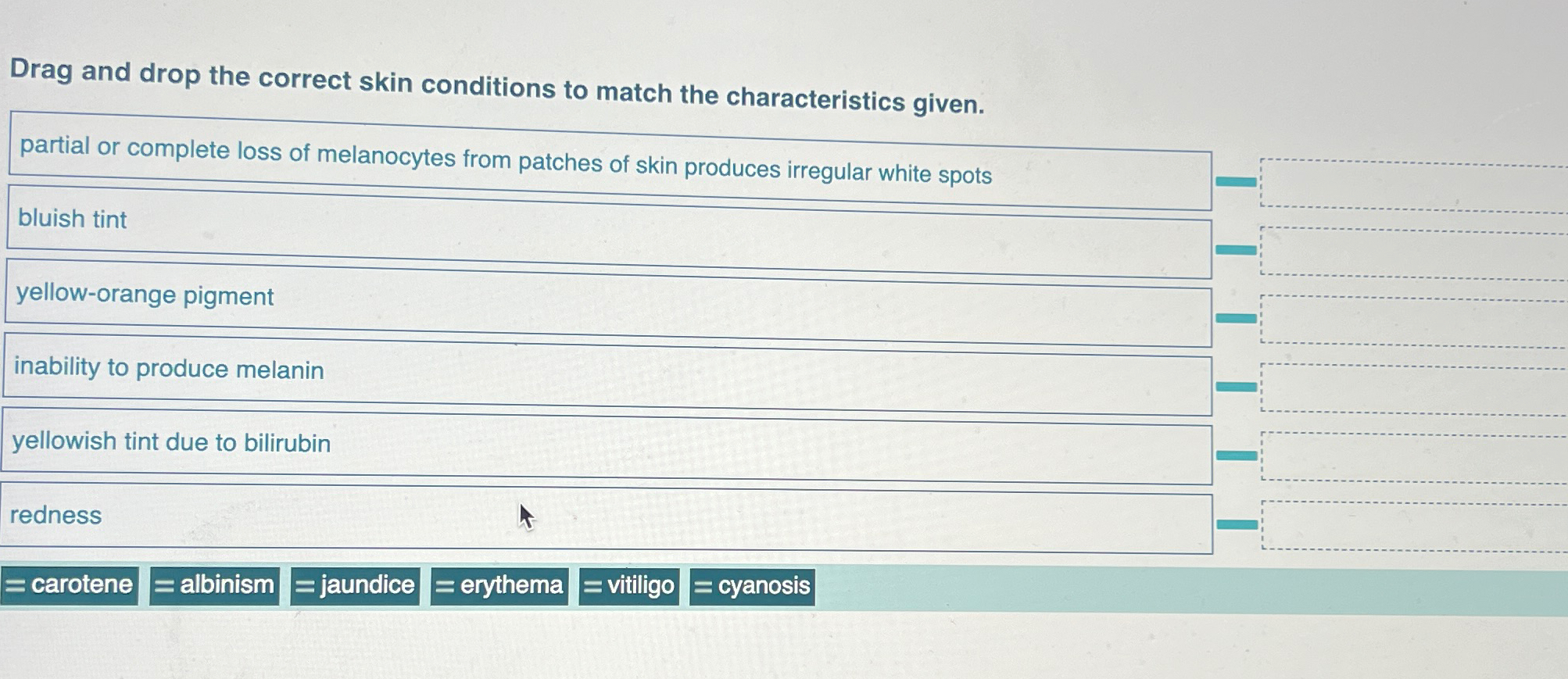 Solved Drag and drop the correct skin conditions to match | Chegg.com