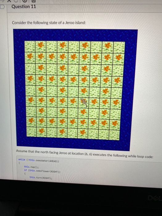 Solved D Question 11 Consider the following state of a Jeroo | Chegg.com