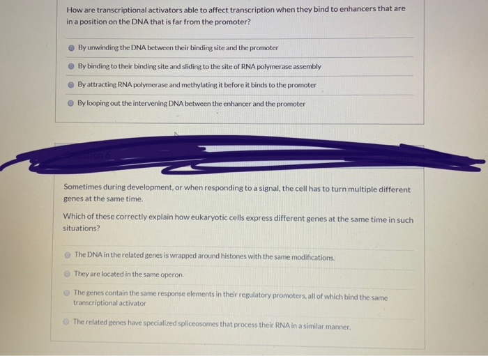 Solved How are transcriptional activators able to affect | Chegg.com