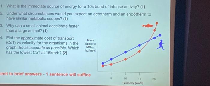 Solved 1. What is the immediate source of energy for a 10s | Chegg.com