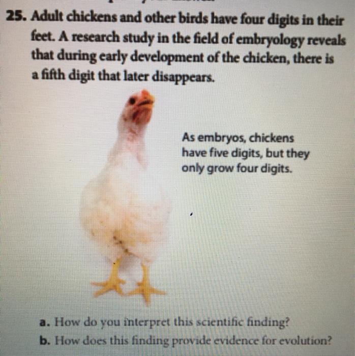 Solved 25. Adult chickens and other birds have four digits | Chegg.com