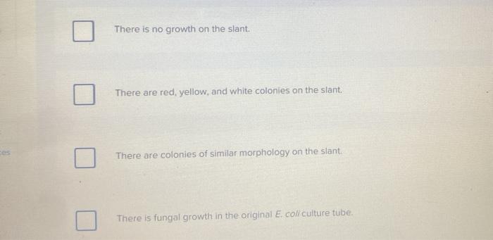 Solved After inoculating and incubating an agar stant from a | Chegg.com