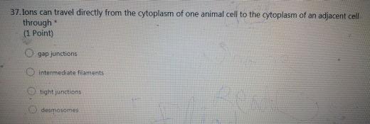 Solved 37.lons can travel directly from the cytoplasm of one | Chegg.com