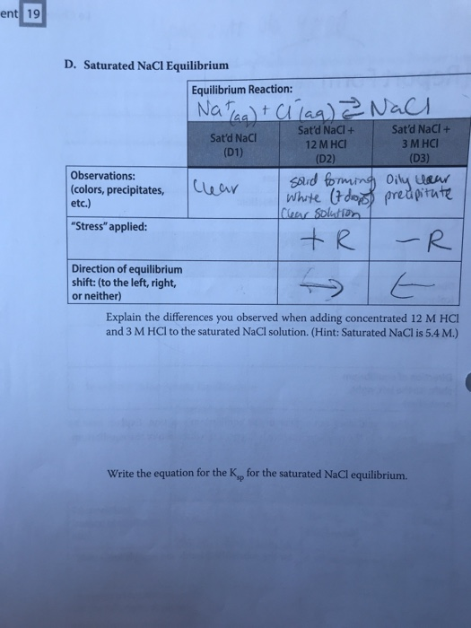 Solved ent 19 D. Saturated NaCl Equilibrium Equilibrium | Chegg.com