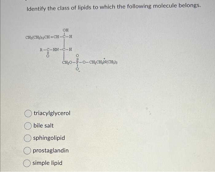 Solved Identify the class of lipids to which the following | Chegg.com