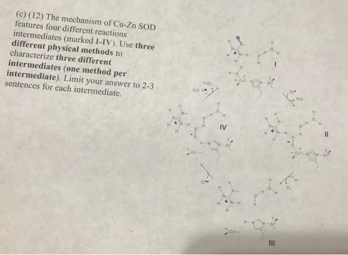 (C) (12) The mechanism of Cu-Zn SOD features four | Chegg.com