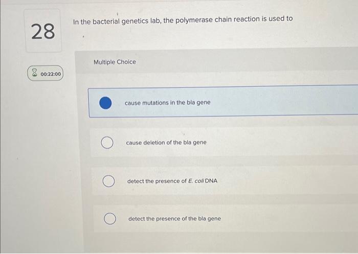 Solved In the bacterial genetics lab, the polymerase chain | Chegg.com