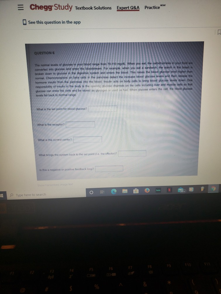 Solved NEW! = Chegg Study Textbook Solutions Expert Q&A | Chegg.com