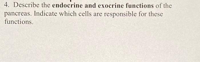 Solved 4. Describe the endocrine and exocrine functions of | Chegg.com