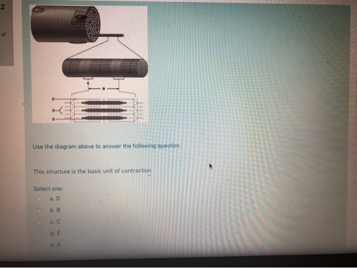 Solved Use the diagram above to answer the following a This | Chegg.com