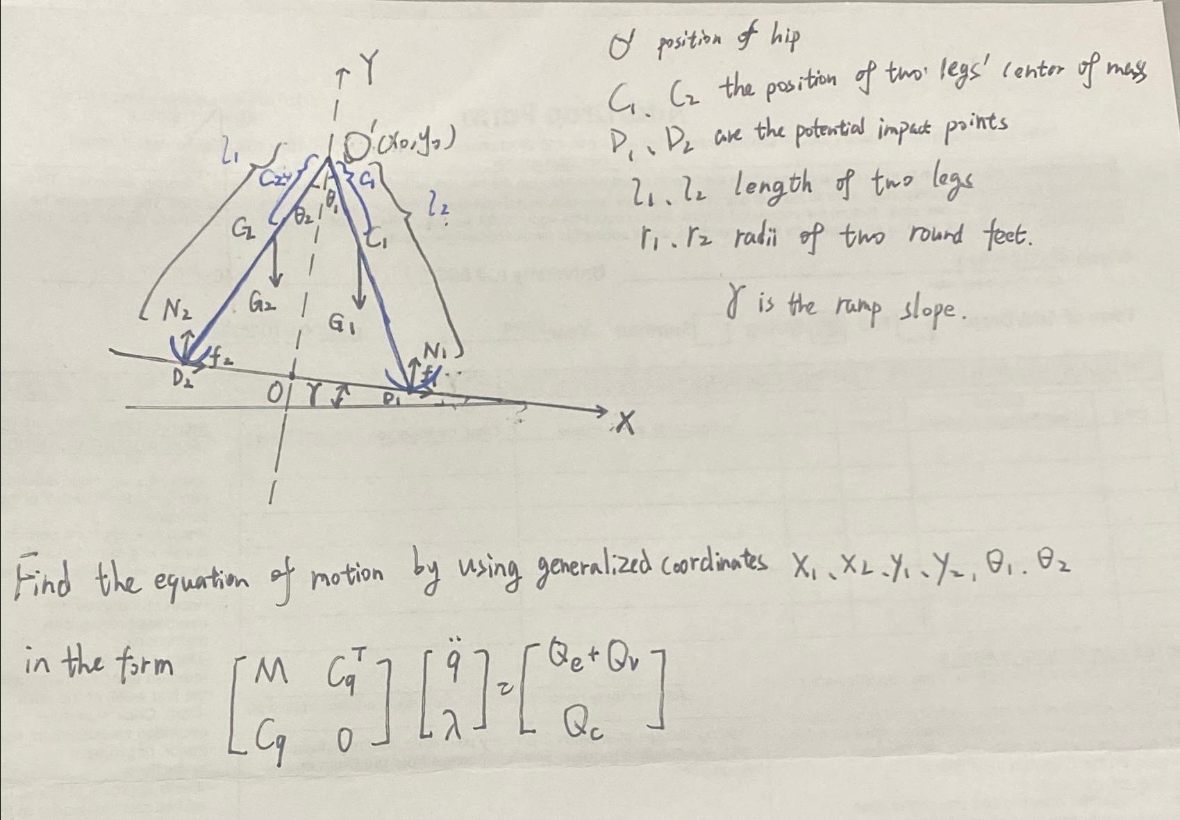 Solved of position of hipC1.C2 ﻿the position of two legs' | Chegg.com