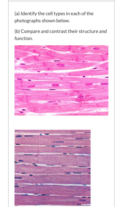 Solved (a) Identify the cell types in each of the | Chegg.com