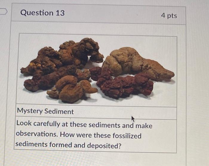 Solved Question 1 2 pts Rounding: Using the chart and | Chegg.com