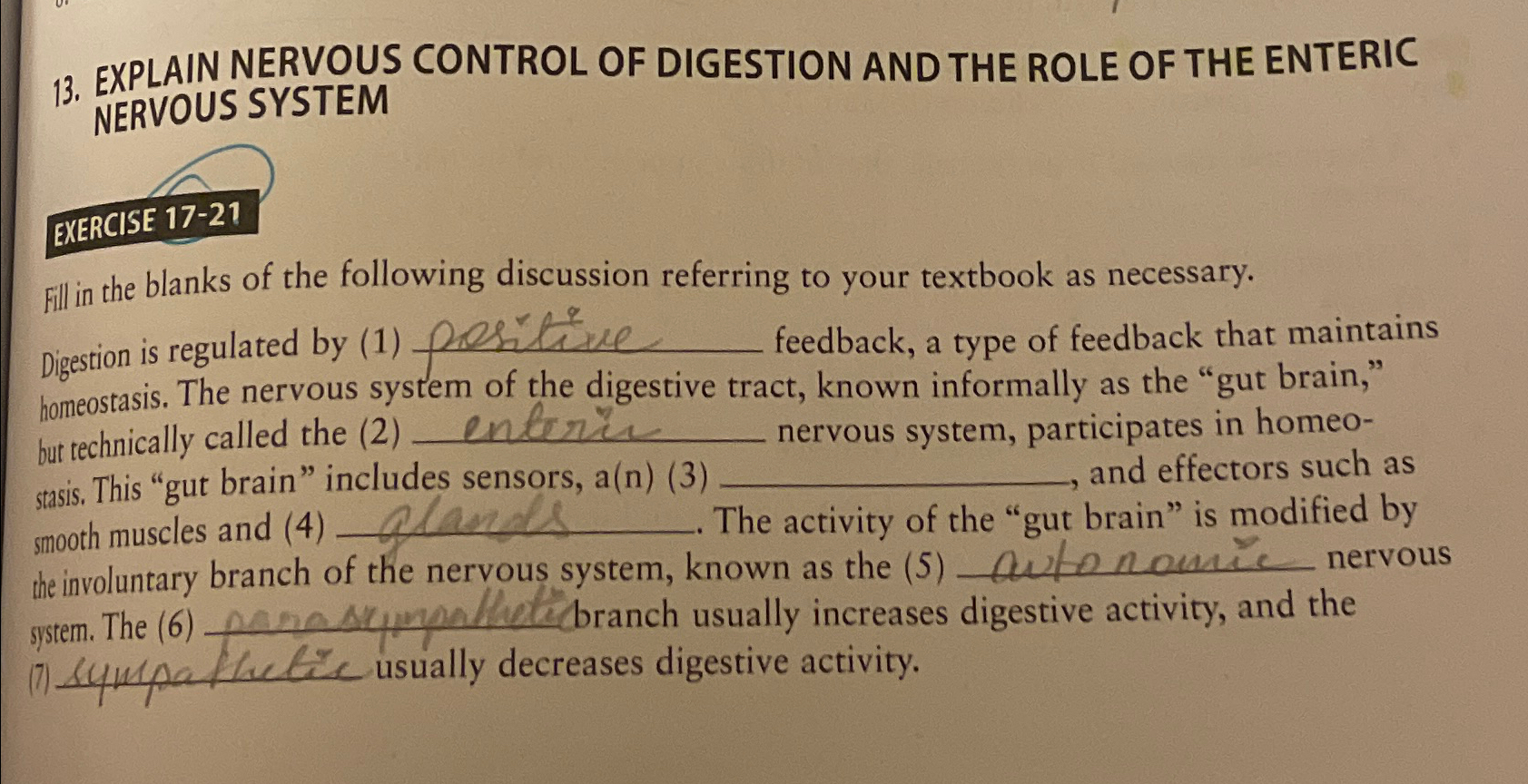 Solved EXPLAIN NERVOUS CONTROL OF DIGESTION AND THE ROLE OF | Chegg.com