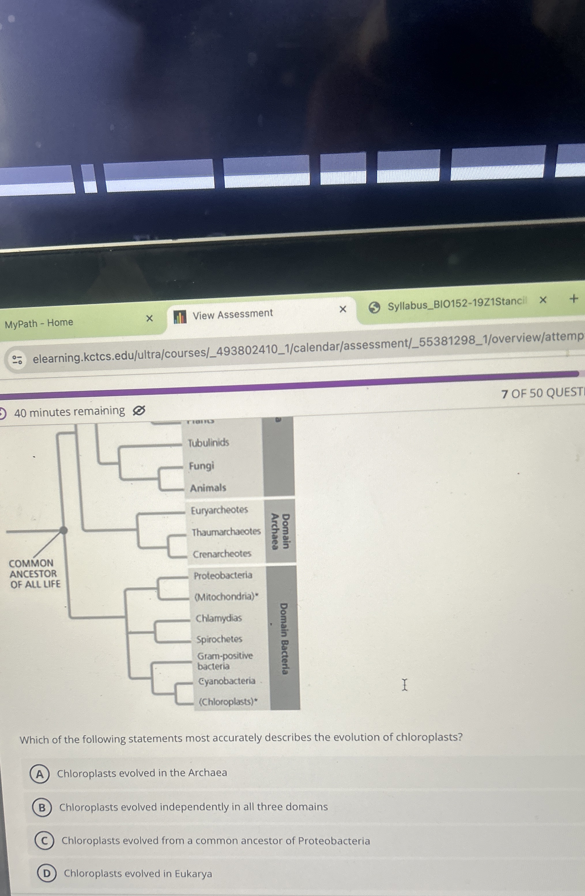 Solved MyPath - ﻿HomeView | Chegg.com