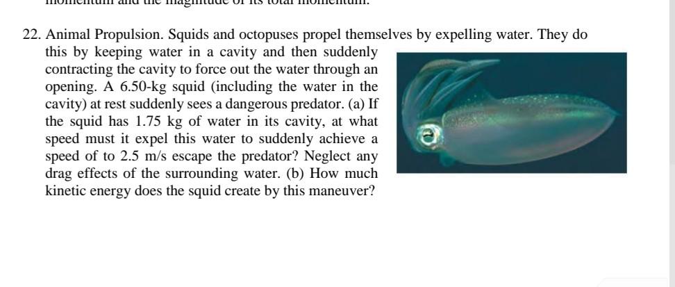 Solved 22. Animal Propulsion. Squids and octopuses propel | Chegg.com