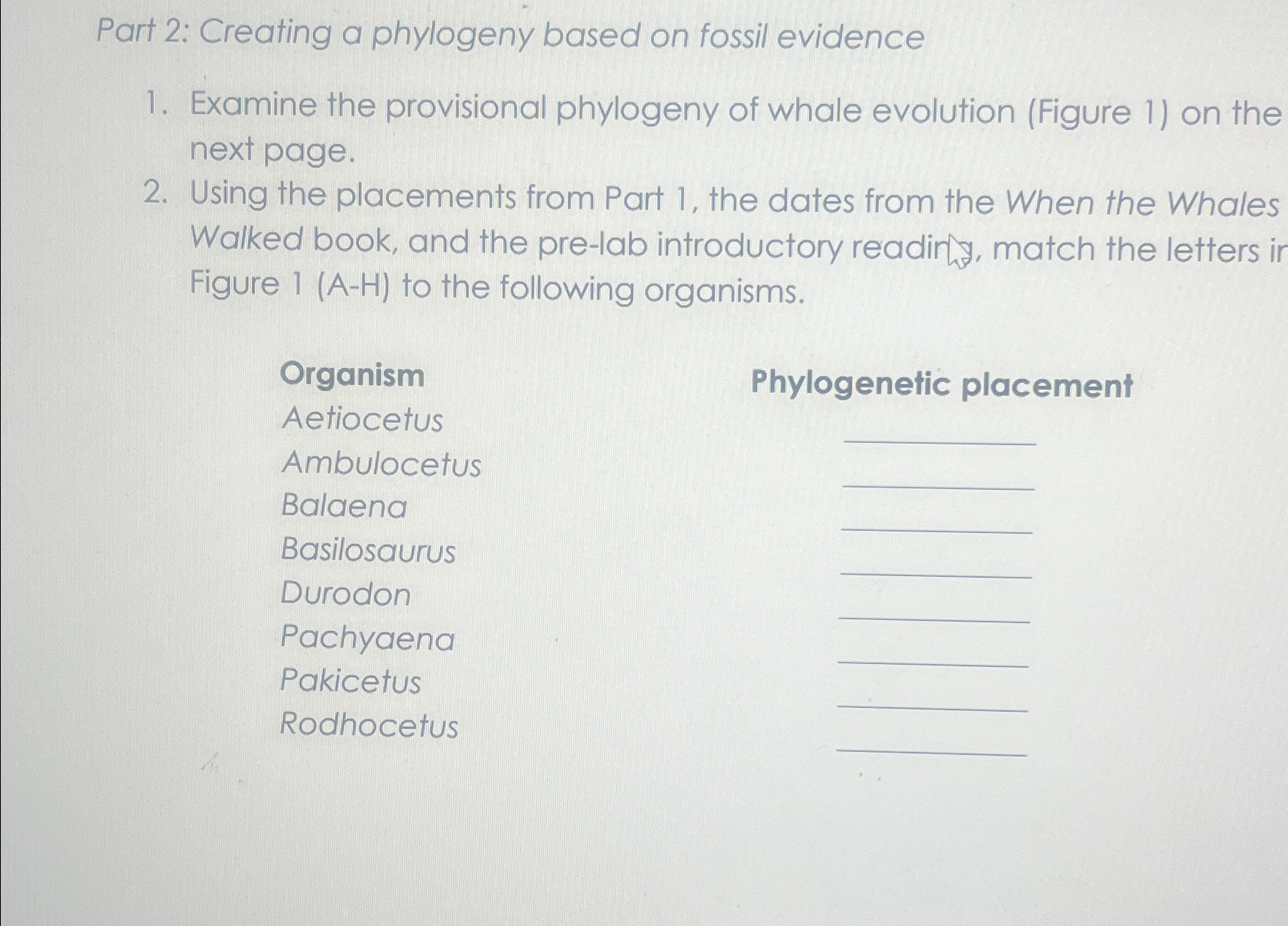 Solved Part 2: Creating a phylogeny based on fossil | Chegg.com